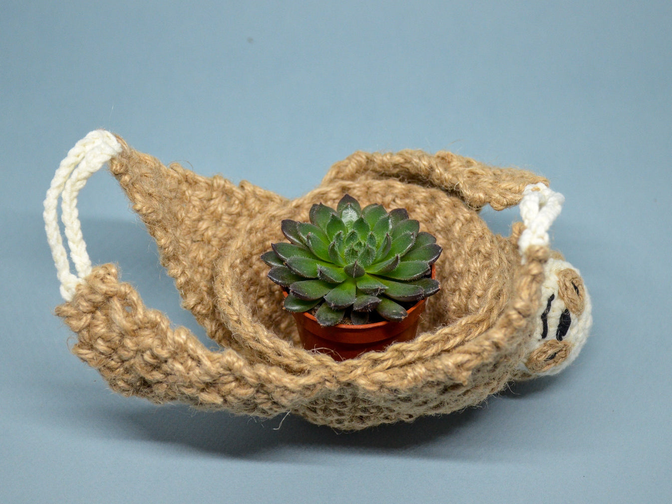 Crochet pattern plant hanger, succulent coaster crochet pattern sloth ...